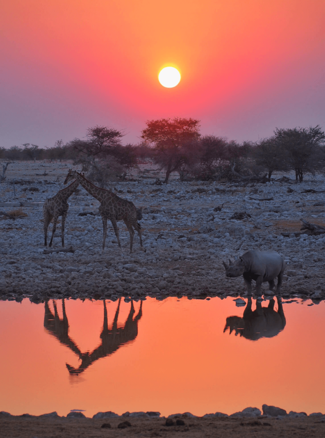 Highlights of the Rock My Namibia Adventure – August 2018 - Helen in ...