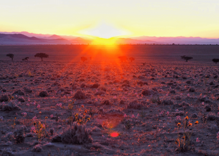 An Epic 2-Week Namibia Itinerary (Plus Map, Tips & Best Places to Visit)