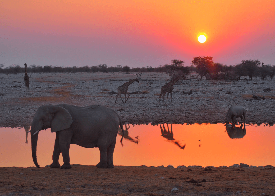 Highlights of the Rock My Namibia Adventure – August 2018 - Helen in ...