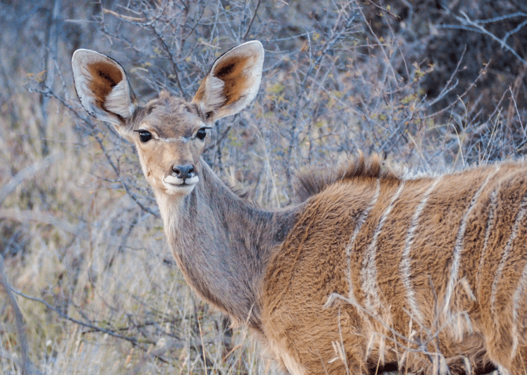 Highlights of the Rock My Namibia Adventure – August 2018 - Helen in ...