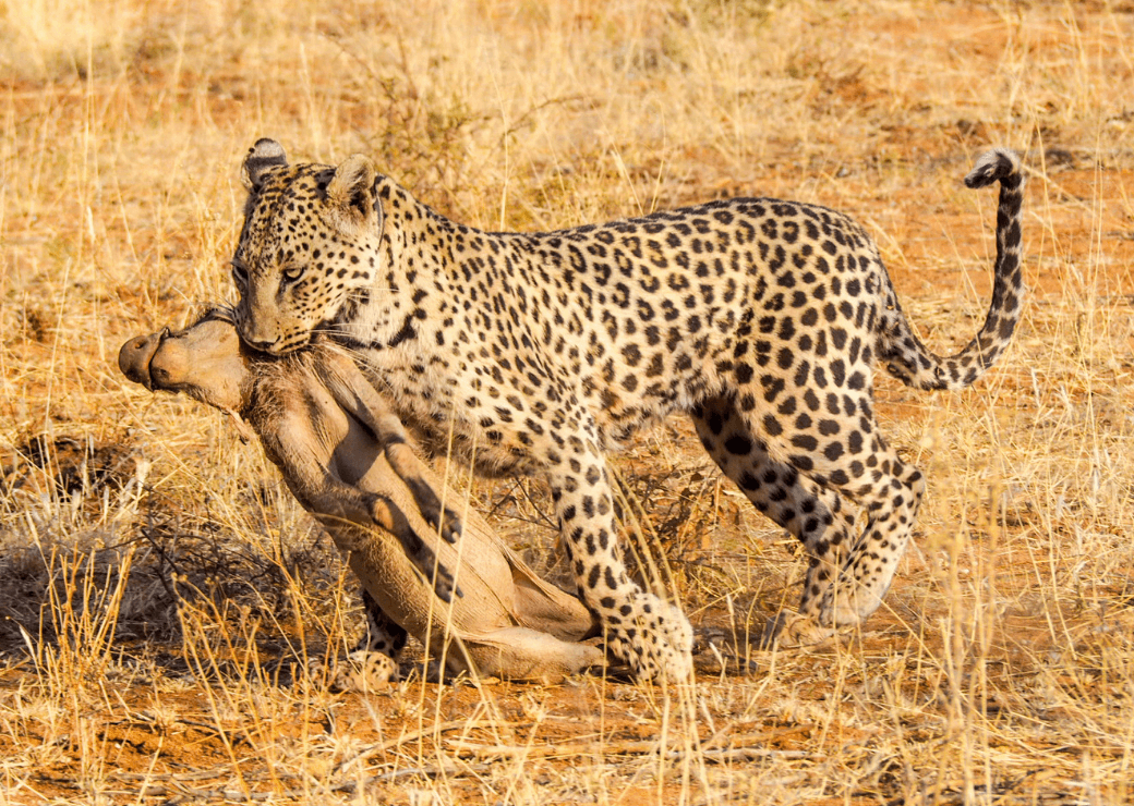 Highlights of the Rock My Namibia Adventure – August 2018 - Helen in ...