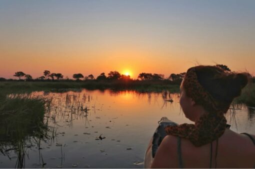 21 Amazing Things to Do in Botswana - Helen in Wonderlust