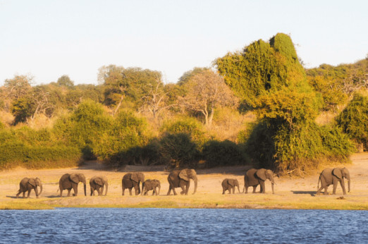 The Best Botswana Safaris - 3 Incredible Itineraries - Helen in Wonderlust