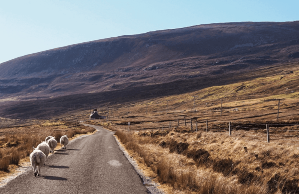30 Things To Know Before You Drive Scotland's NC500 - Helen in Wonderlust