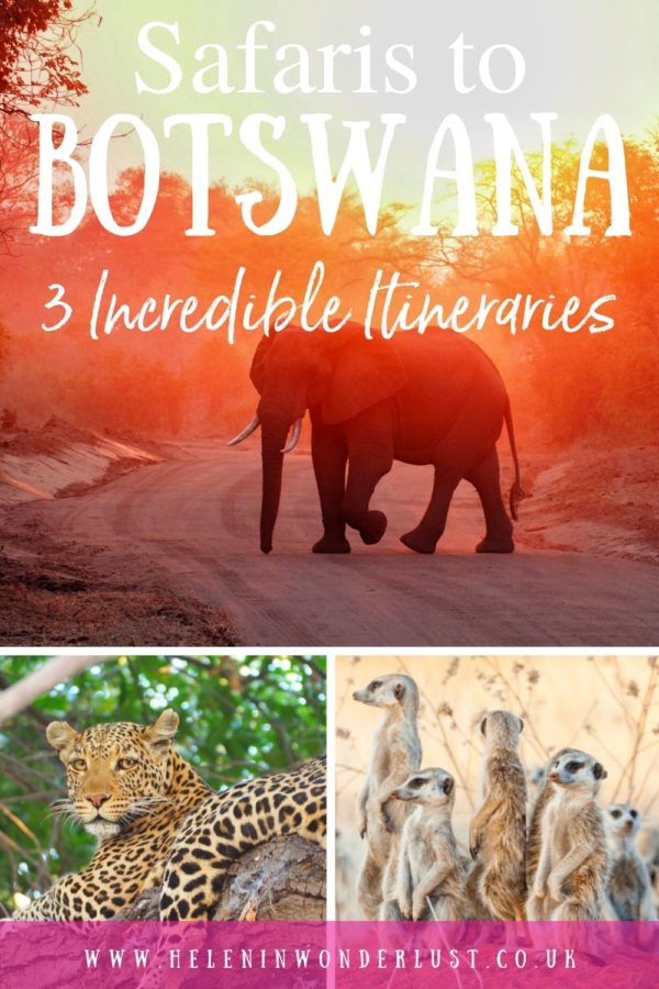 The Best Botswana Safaris – 3 Incredible Itineraries – Helen in Wonderlust