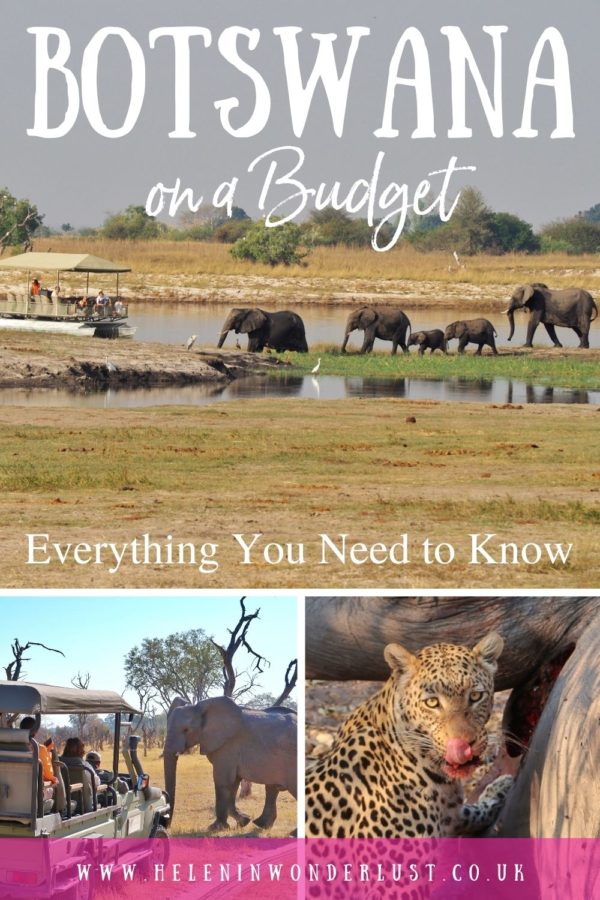 How to Visit Botswana on a Budget: Everything You Need to Know - Helen ...