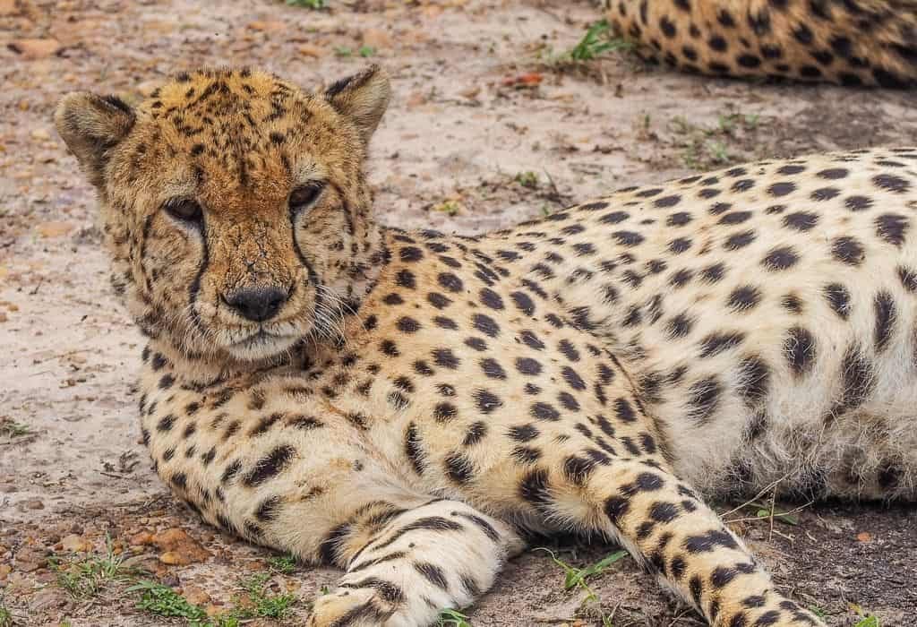 Kenya Travel Guide - Helen in Wonderlust