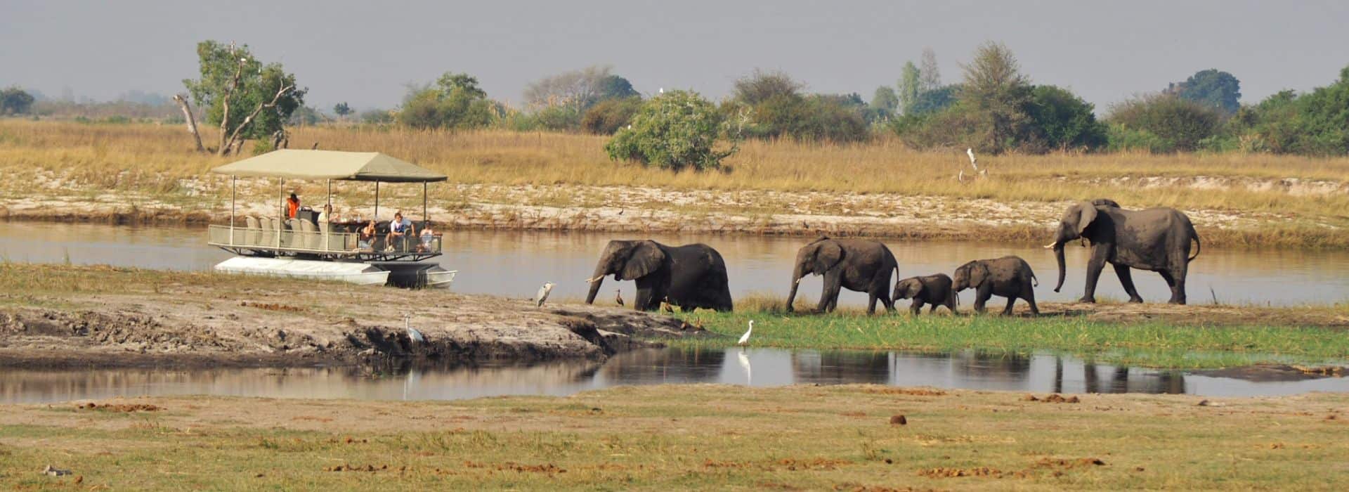 Botswana Travel Guide - Helen in Wonderlust