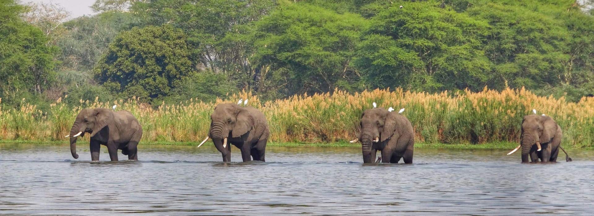 Malawi Travel Guide - Helen in Wonderlust