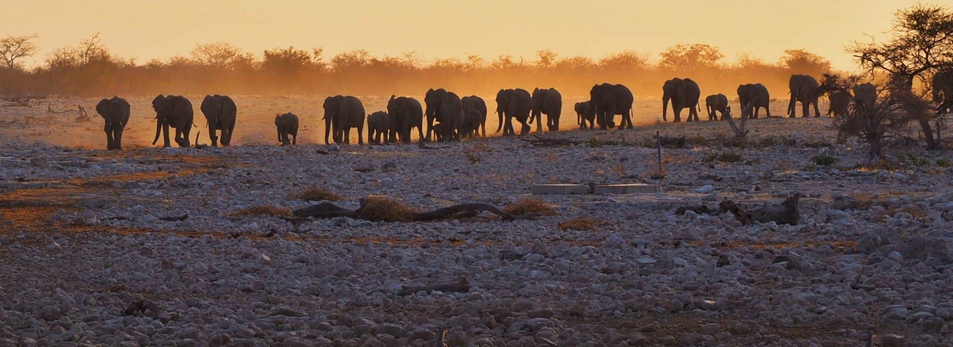 Namibia Travel Guide - Helen in Wonderlust