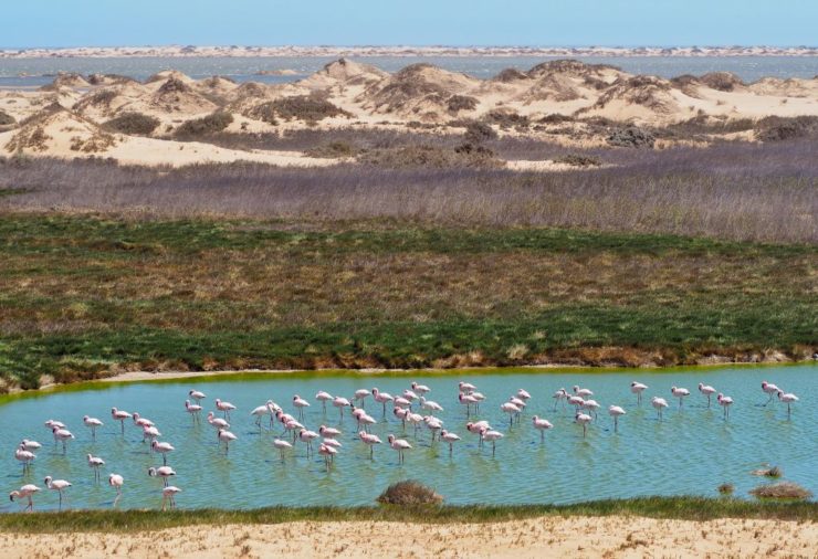 An Epic Namibia Itinerary (Plus Map, Tips & Best Places to Visit)
