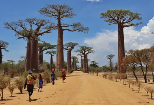 Things to Know Before You Visit Madagascar - Helen in Wonderlust